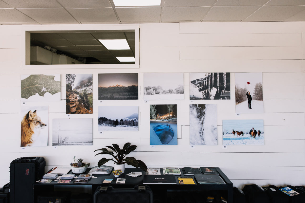 Armadillo Camera | Shop Cameras & Gear